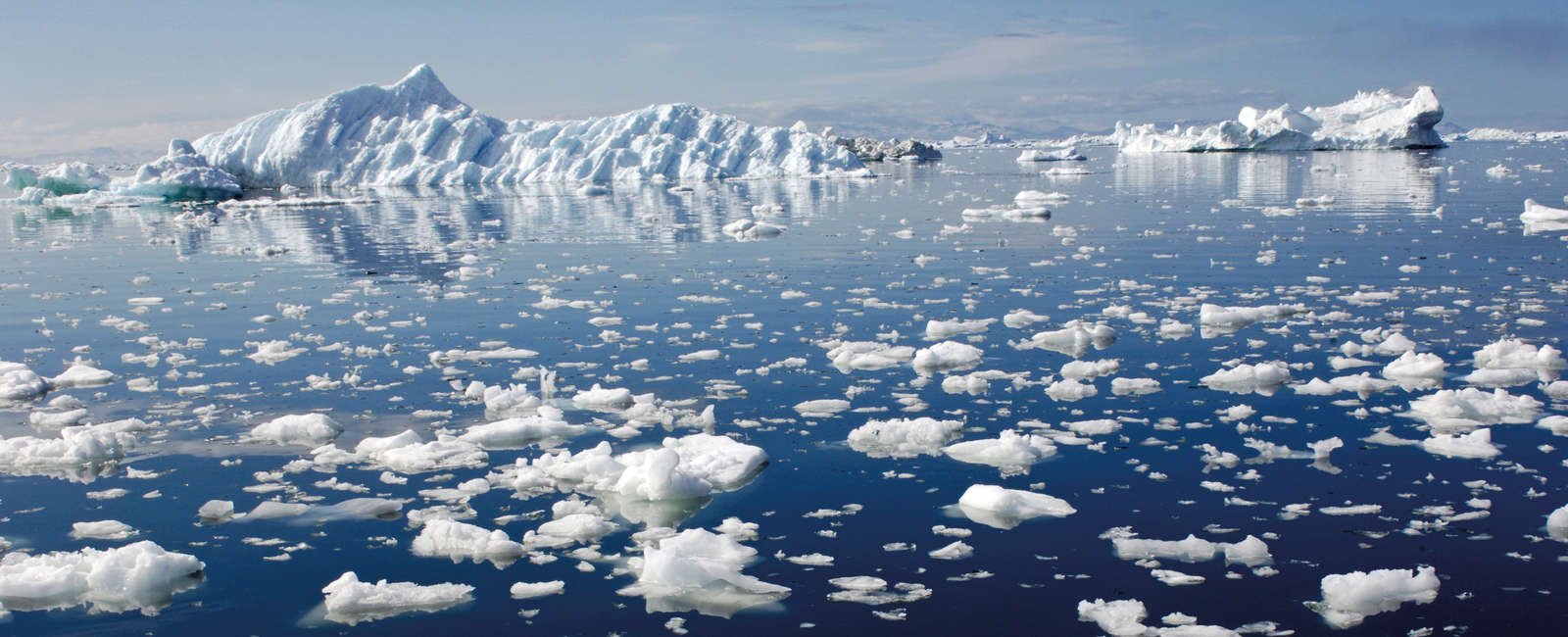 Unveiling the Arctic Meltdown's Far-reaching Impact: Environment ...